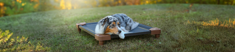 Ruff 'n Tumble PetCot - Raised large dog bed – The PetCot Company